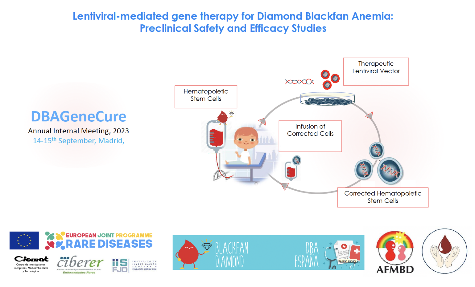 Our long-term commitment to Diamond-Blackfan anemia – Lafontaine Lab